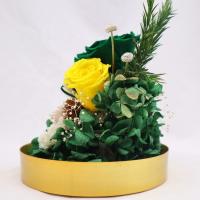 China 100% Real Rose Flower In Glass Dome With No Maintenance Required for sale