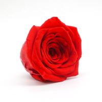 China Long Time Using Dried Rose Heads , Allergy - Friendly Floral Head Wreath for sale