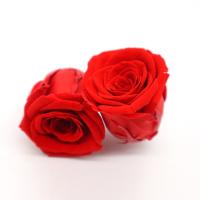 China Long Time Using Dried Rose Heads , Allergy - Friendly Floral Head Wreath for sale