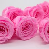 China DIY Pink Preserved Rose Heads Pretty Appearance Keeping Everlasting Memory for sale