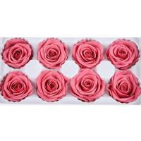 China DIY Pink Preserved Rose Heads Pretty Appearance Keeping Everlasting Memory for sale