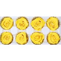 China DIY Golden Yellow Rose Flower Heads 4-5cm For Indoor Decoration for sale