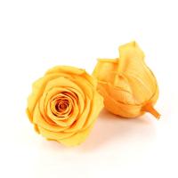 China DIY Golden Yellow Rose Flower Heads 4-5cm For Indoor Decoration for sale
