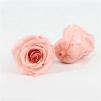 China Pliability Maintaining Preserved Rose Heads Excellent Flowers Eternity for sale