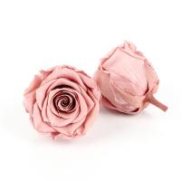 China Pliability Maintaining Preserved Rose Heads Excellent Flowers Eternity for sale