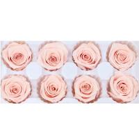 China Pliability Maintaining Preserved Rose Heads Excellent Flowers Eternity for sale