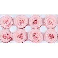 China Pliability Maintaining Preserved Rose Heads Excellent Flowers Eternity for sale