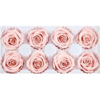 China Pliability Maintaining Preserved Rose Heads Excellent Flowers Eternity for sale