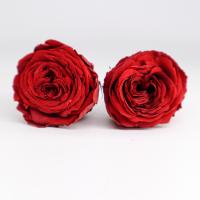 China Preserved austin rose flower rose head Valentines wedding ladies gift for sale