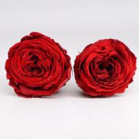 China Preserved austin rose flower rose head Valentines wedding ladies gift for sale