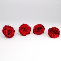 China Preserved austin rose flower rose head Valentines wedding ladies gift for sale