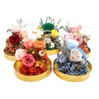China Real Natural Everlasting Rose In Glass Dome Gift For Valentine's Day for sale