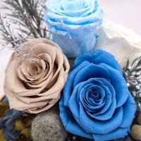 China Real Natural Everlasting Rose In Glass Dome Gift For Valentine's Day for sale