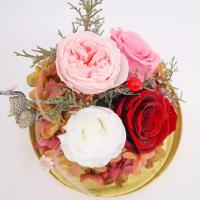 China Luxury Preserved Rose Glass Dome Beautiful For Christmas Decoration for sale