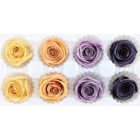China 4-5cm Preserved Rose Heads Gorgeous Flower Color Easy Matching Other Colors for sale