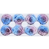 China Beautiful Colorful Preserved Rose Heads Elegant For Home Decoration for sale