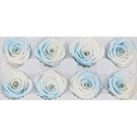 China Beautiful Colorful Preserved Rose Heads Elegant For Home Decoration for sale
