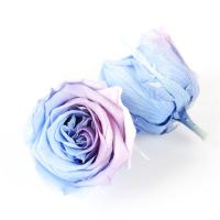 China Beautiful Colorful Preserved Rose Heads Elegant For Home Decoration for sale