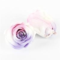 China Beautiful Colorful Preserved Rose Heads Elegant For Home Decoration for sale