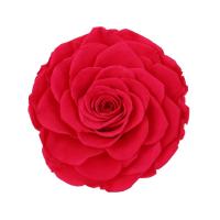 China Decorative Preserved Rose Heads Maintain Natural Beauty & Colour For A Long Time for sale