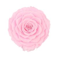 China Decorative Preserved Rose Heads Maintain Natural Beauty & Colour For A Long Time for sale