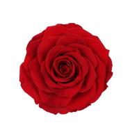 China Home Decor Preserved Rose Heads Creative Household Decorative Furnishings for sale