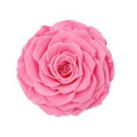China Home Decor Preserved Rose Heads Creative Household Decorative Furnishings for sale