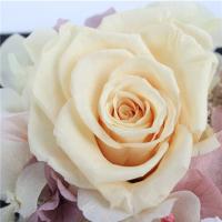 China Colorful Dried Flower Photo Frame Eco Friendly Great For Christmas Decoration for sale