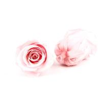 China Home Decoration Preserved Rose Heads For Arrangements And Decorations for sale