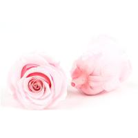 China Home Decoration Preserved Rose Heads For Arrangements And Decorations for sale