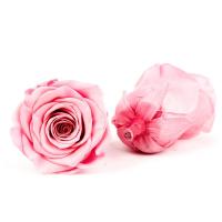 China Home Decoration Preserved Rose Heads For Arrangements And Decorations for sale