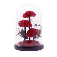 China Real Touch Eternal Preserved Rose Glass Dome For Valentines Day Gift for sale