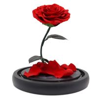 China Dried Beauty And The Beast Red Rose In Glass Gift Suitable For Decor Purposes for sale