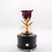 China Eternal Handmade Design Preserved Rose Glass Dome With Bluetooth Speaker for sale