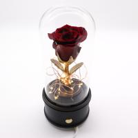 China Eternal Handmade Design Preserved Rose Glass Dome With Bluetooth Speaker for sale