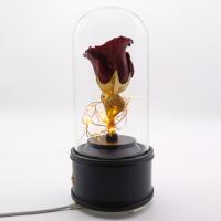 China Eternal Handmade Design Preserved Rose Glass Dome With Bluetooth Speaker for sale