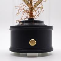 China Eternal Handmade Design Preserved Rose Glass Dome With Bluetooth Speaker for sale
