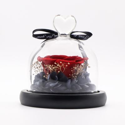 China Customized Color Preserved Rose Glass Dome Keep Looking Bright And Beautiful for sale