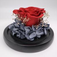 China Customized Color Preserved Rose Glass Dome Keep Looking Bright And Beautiful for sale