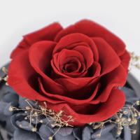 China Customized Color Preserved Rose Glass Dome Keep Looking Bright And Beautiful for sale