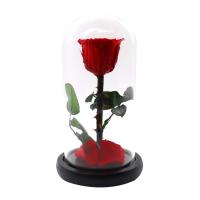 China Preserved Red Rose In A Glass Dome Delicate Decoration For Home / Indoor for sale