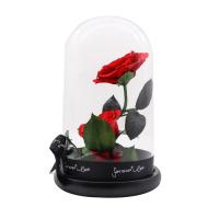 China Beauty And The Beast Preserved Rose Glass Dome For Christmas Gift for sale