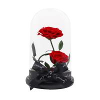 China Beauty And The Beast Preserved Rose Glass Dome For Christmas Gift for sale