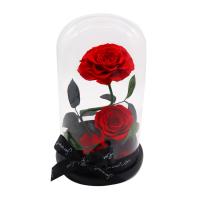 China Beauty And The Beast Preserved Rose Glass Dome For Christmas Gift for sale