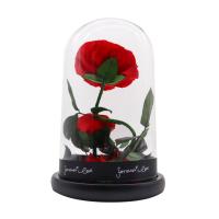 China Beauty And The Beast Preserved Rose Glass Dome For Christmas Gift for sale