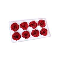 China Indoor Decoration Beautiful Preserved Rose Heads Customized Color for sale