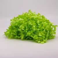 China Beautiful multicolored Preserved Flower Hydrangea Bouquet Wholesale Preserved Foliage Preserved Big Leaf for sale