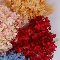China Beautiful multicolored Preserved Flower Hydrangea Bouquet Wholesale Preserved Foliage Preserved Big Leaf for sale