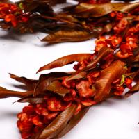China Natural Green Preserved Eucalyptus Leaves Real Touch Feel & Eco Friendly for sale