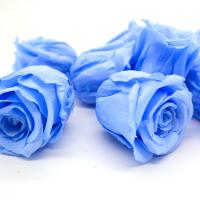 China Beautiful Long Living Preserved Rose Heads Easy Care No Need Water for sale